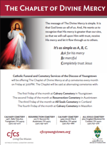 Chaplet of Divine Mercy (Bulletin Materials) | The Catholic Diocese of ...
